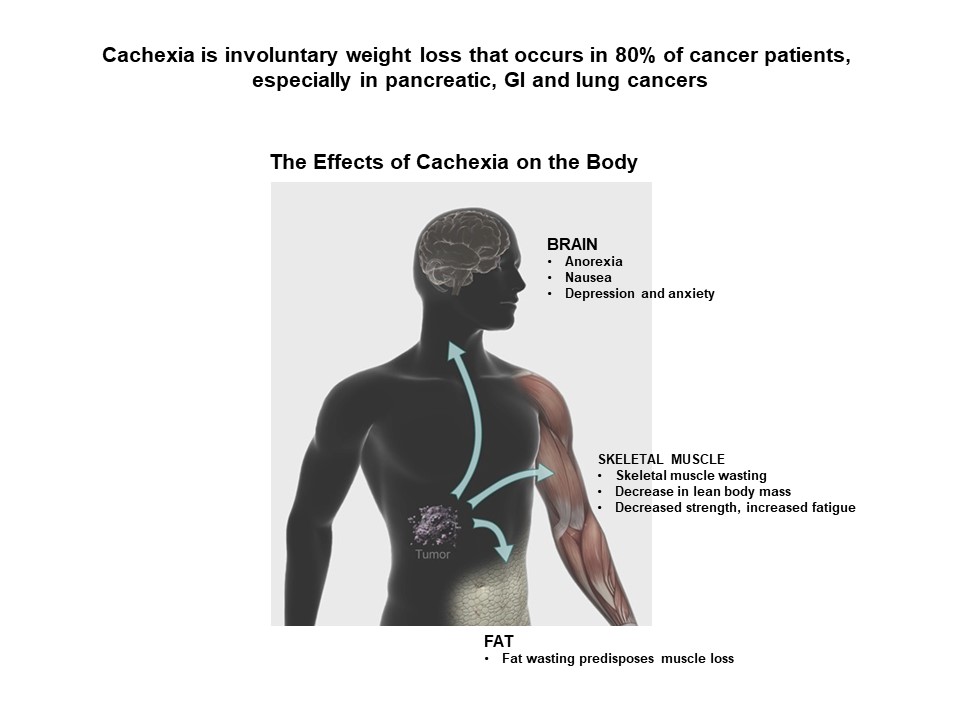 Advocacy General Information
